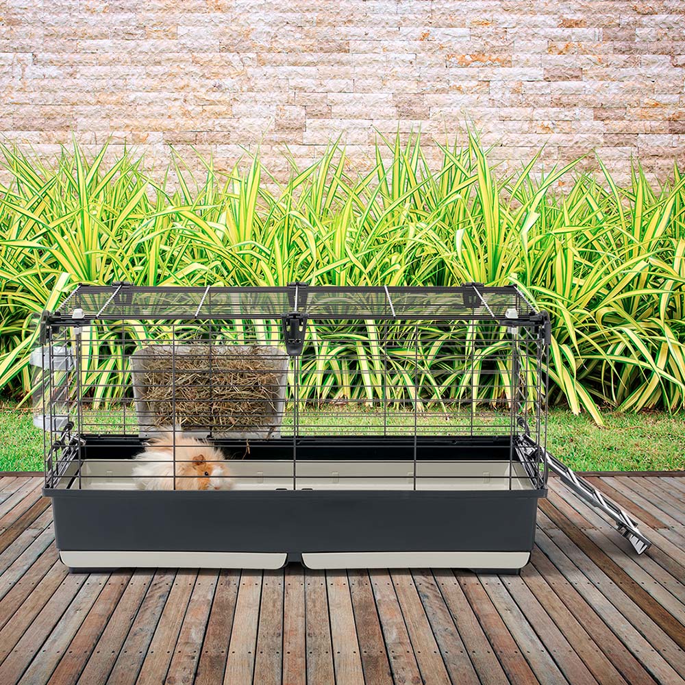 TOMMY Ferplast | Ferplast Official