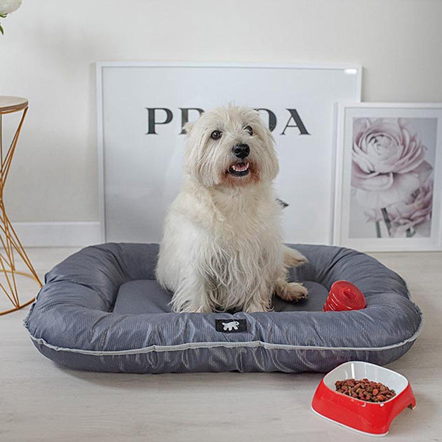 Tough Dog Beds made in Europe by Ferplast | Ferplast Official