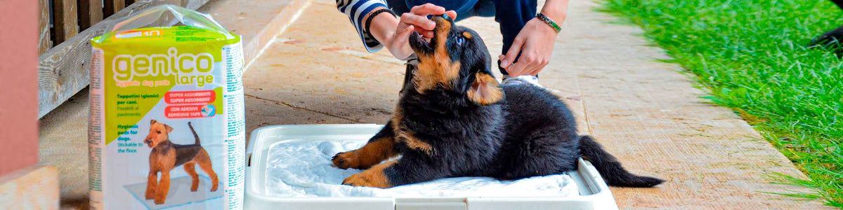 DOG HYGIENIC PADS AND MATS | Ferplast Official