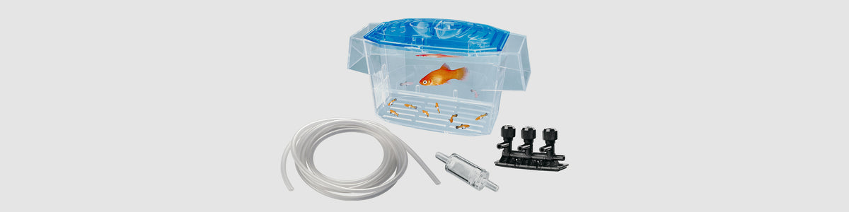 AQUARIUM AND FISH TANK INSTALLATION AND CARE | Ferplast Official