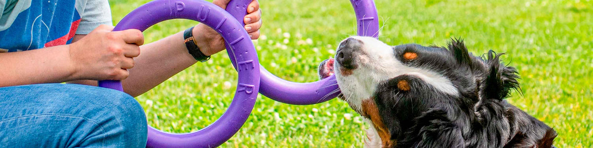 New products | Ferplast Official