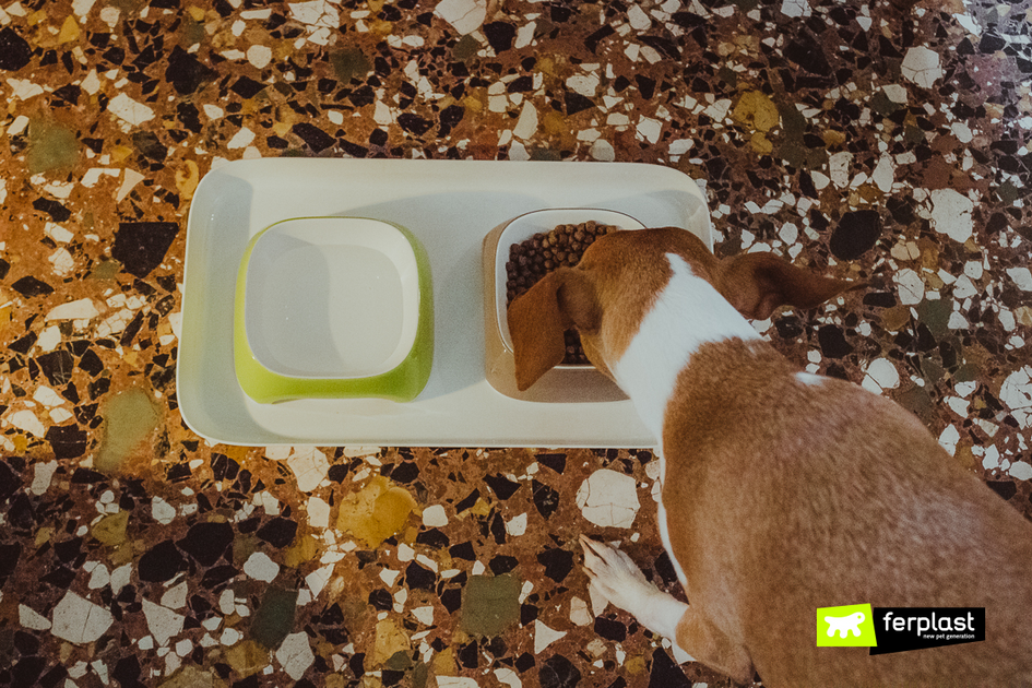 FEEDING ACCESSORIES | Ferplast Official - Mixed materials