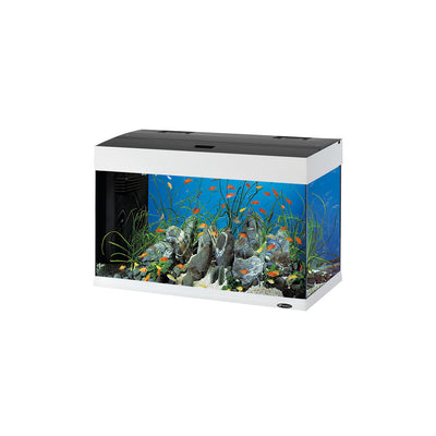 GLASS AQUARIUMS AND FISH TANKS | Ferplast Official