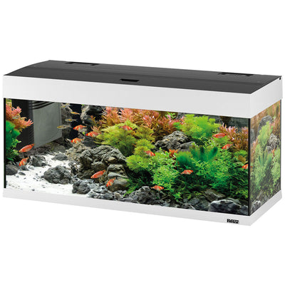 AQUARIUMS, FISH TANKS AND STANDS | Ferplast Official