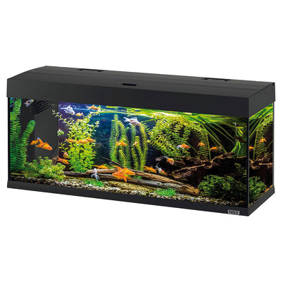 GLASS AQUARIUMS AND FISH TANKS | Ferplast Official - DUBAI