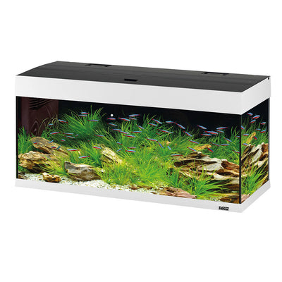 GLASS AQUARIUMS AND FISH TANKS | Ferplast Official