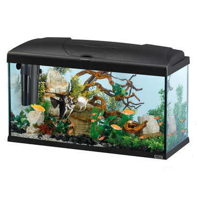 GLASS AQUARIUMS AND FISH TANKS | Ferplast Official