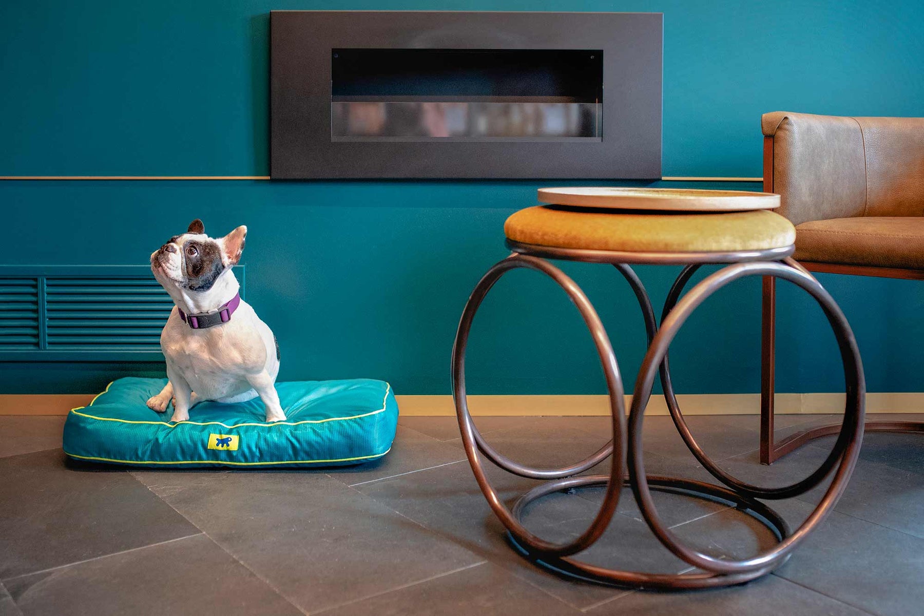 Pet Supplies Pet Accessories: visit our online shop | Ferplast