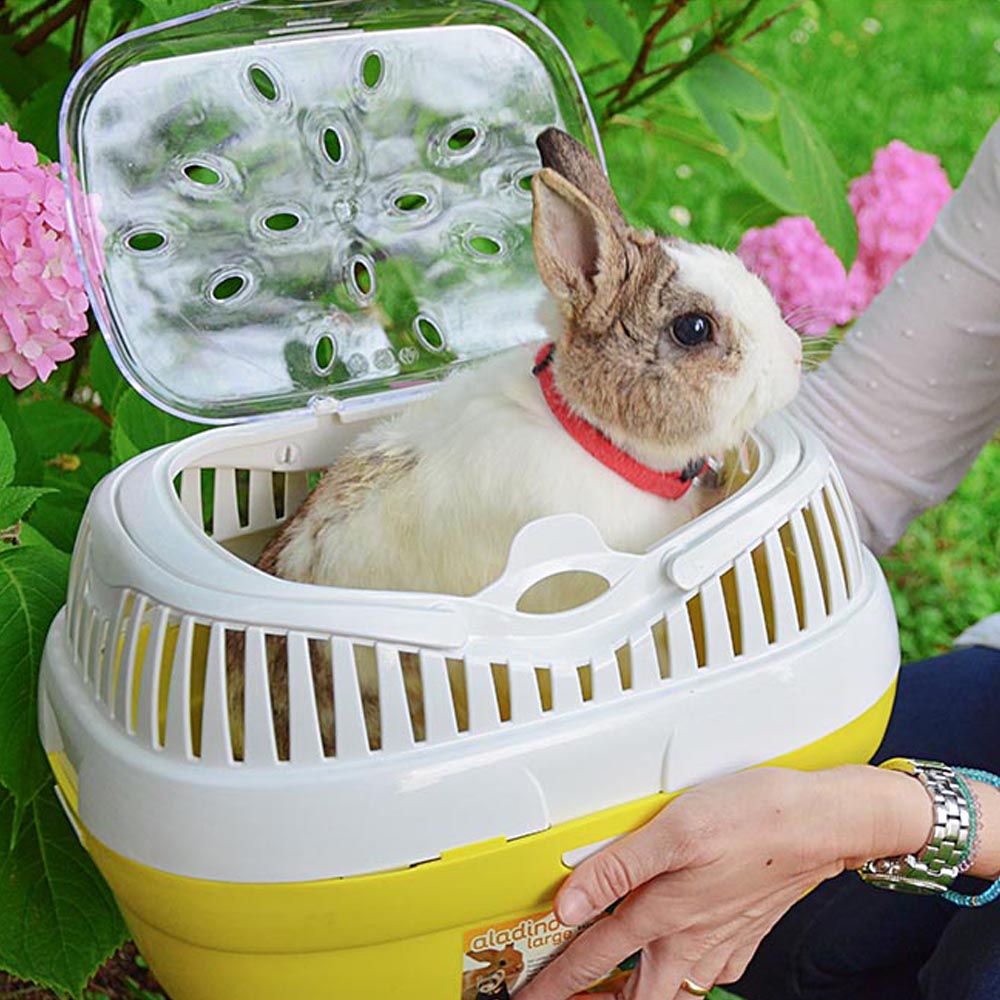 ALADINO LARGE Ferplast | Ferplast Official