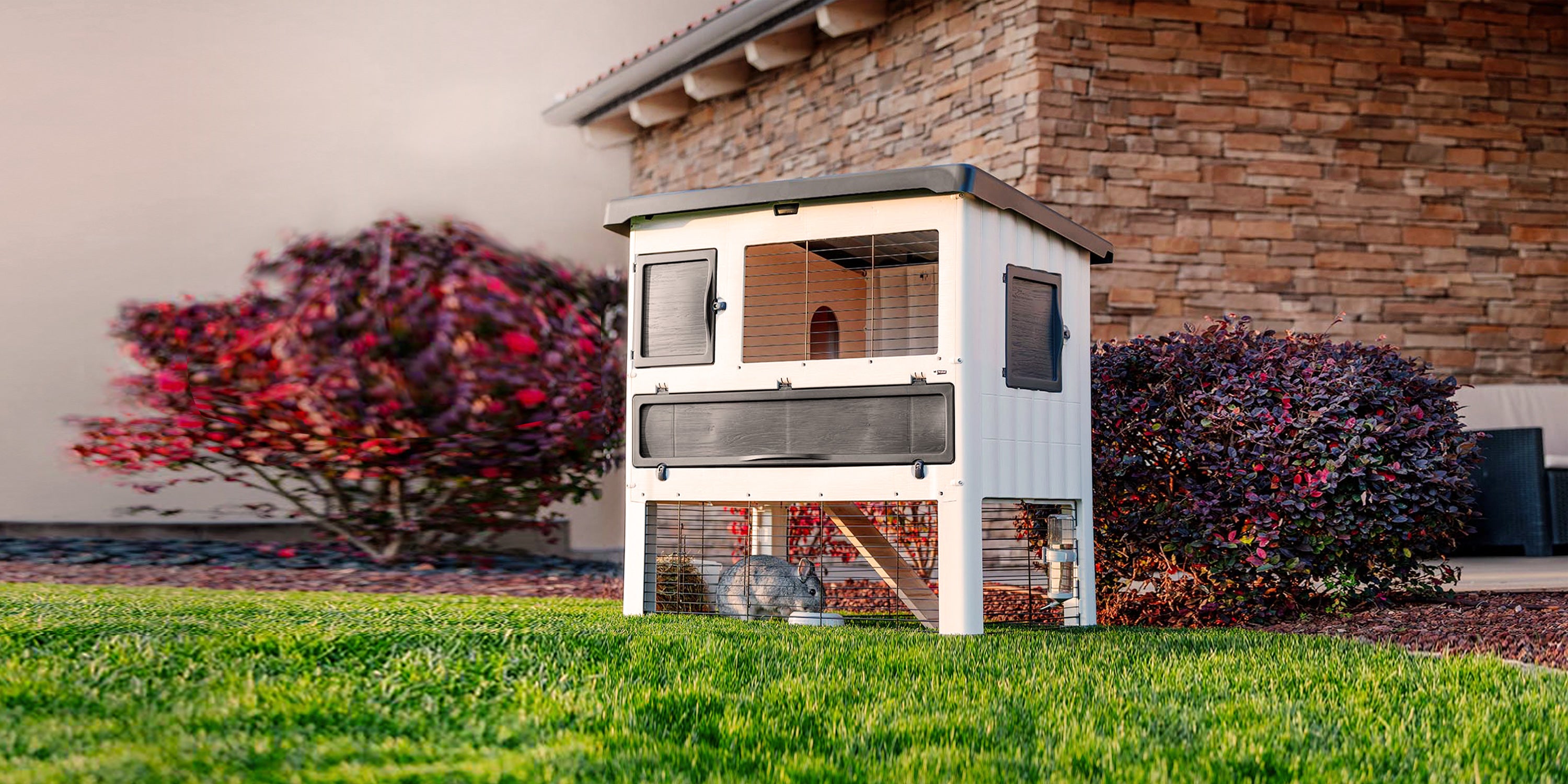 Pet Supplies Pet Accessories: visit our online shop | Ferplast